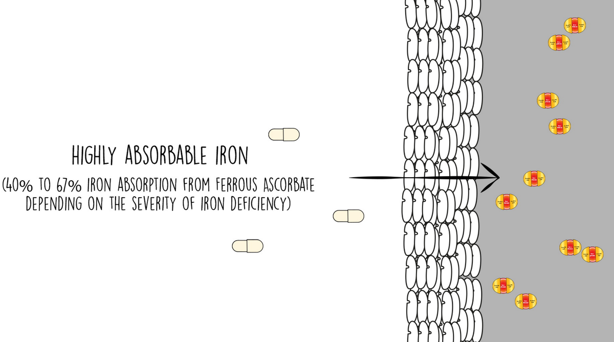 EBMfer 30's 100mg Vegan Easy iron with vitamin C from Ethical Remedies